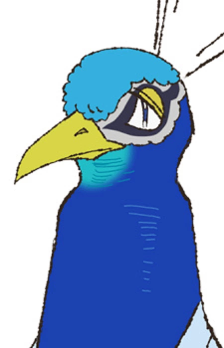 Peacock / Персонаж